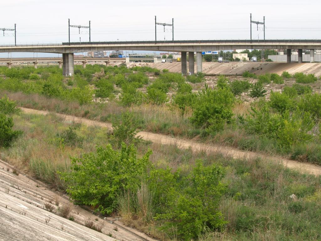 La Confederación Hidrográfica del Júcar prosigue con las actuaciones de ...